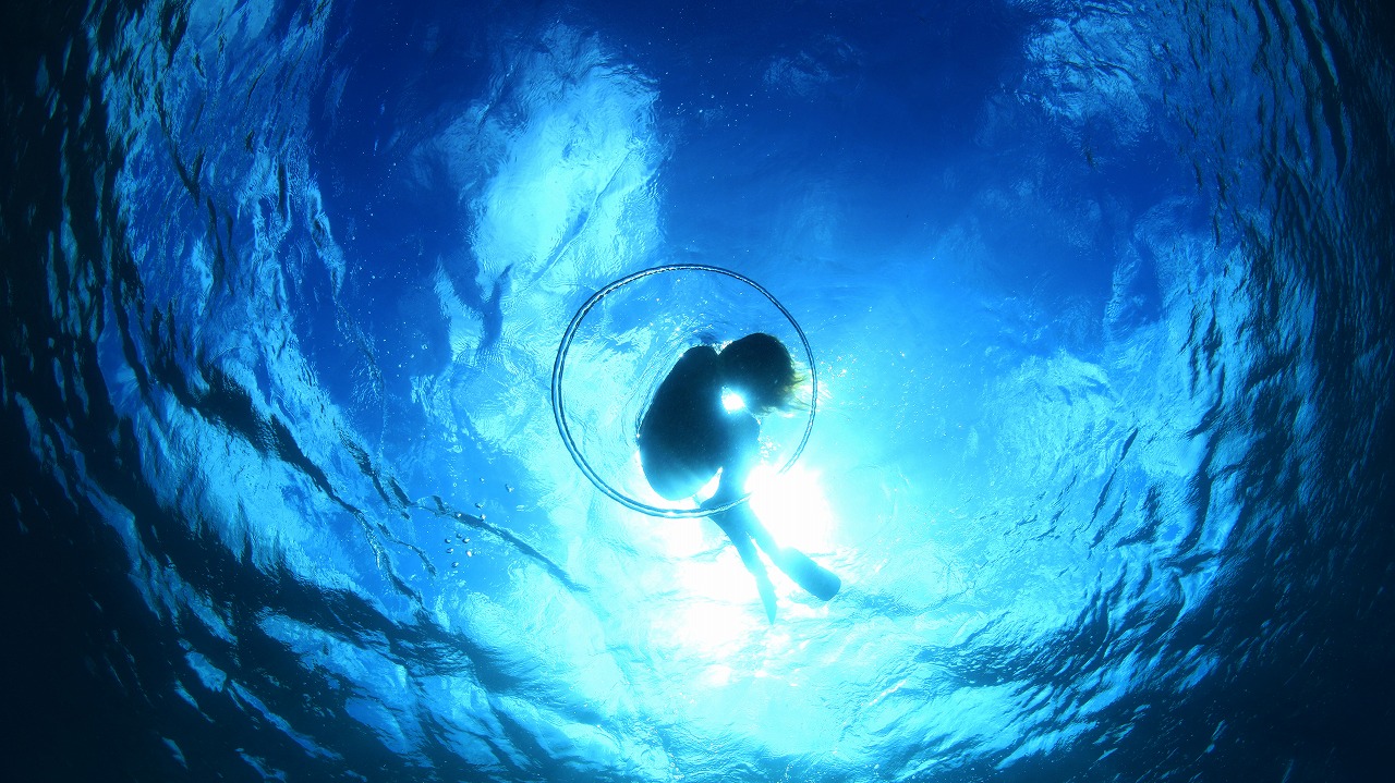 OWD＋AOW お得なプラン - Ocean Studio